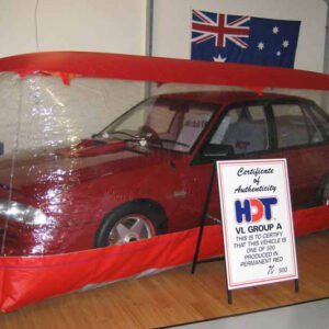 Indoor Inflatable (Size 5) - Carcoon